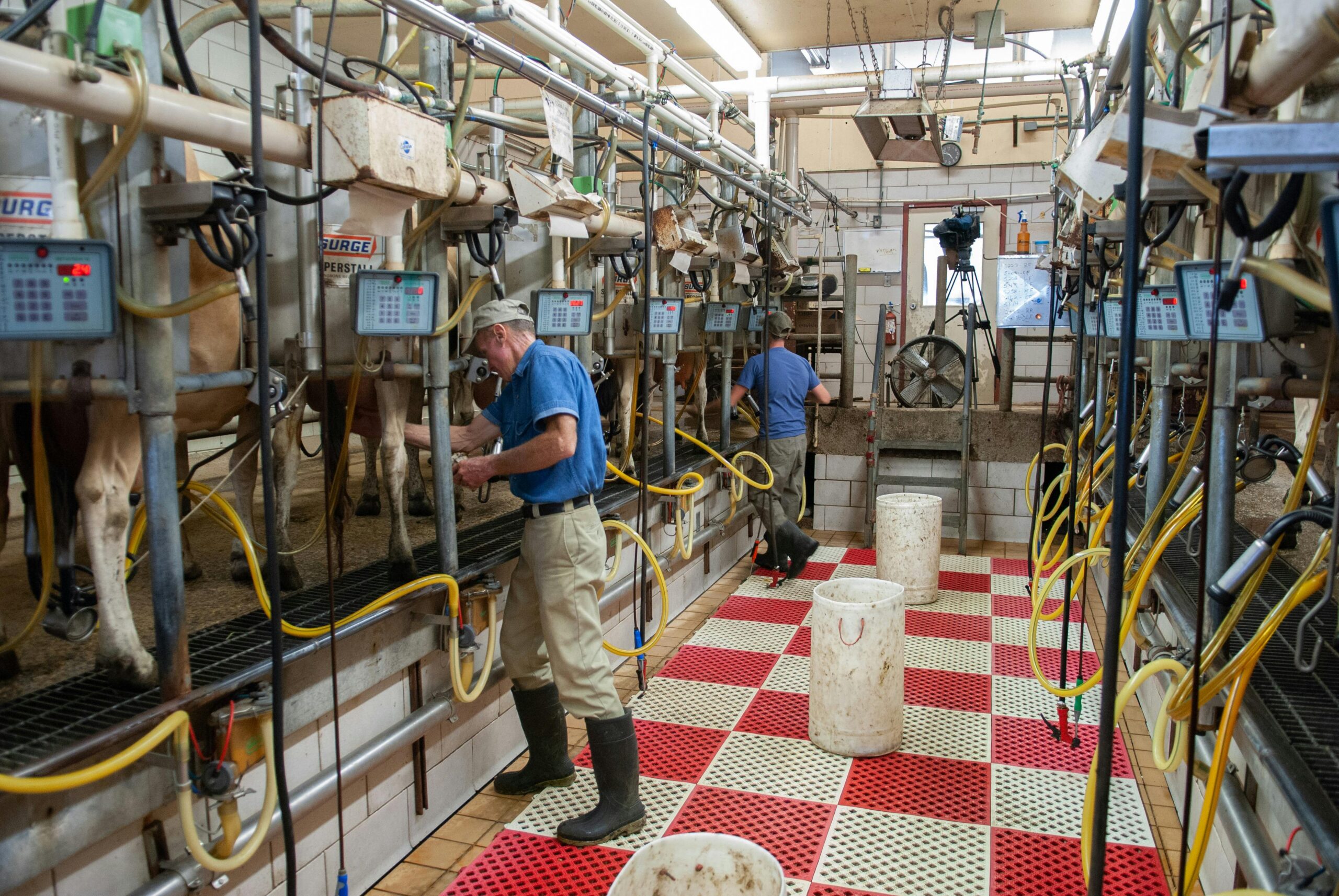 Detailed Design of Dairy Production Waste Conversion to Lactic Acid ...